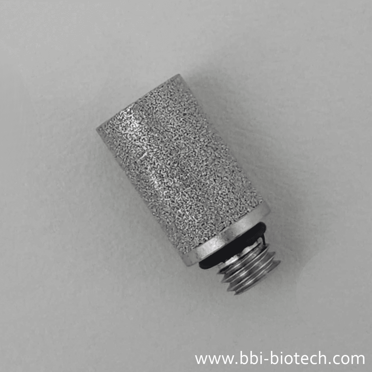 Fritte, M5, 100 µm – Bioreactors | Fermentors | Sampling – bbi-biotech